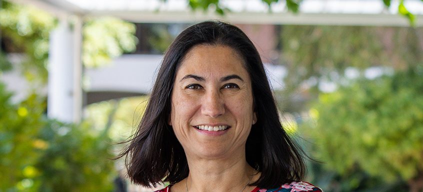 Fitzpatrick named 2023 Innovative Educator of the Year | St Mary's ...