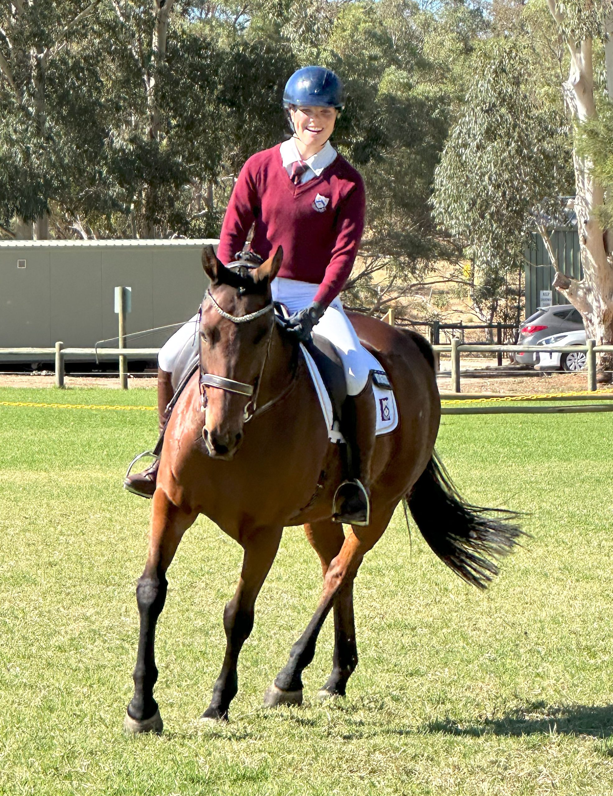 Students excel at equestrian championships | St Mary's Anglican Girls ...